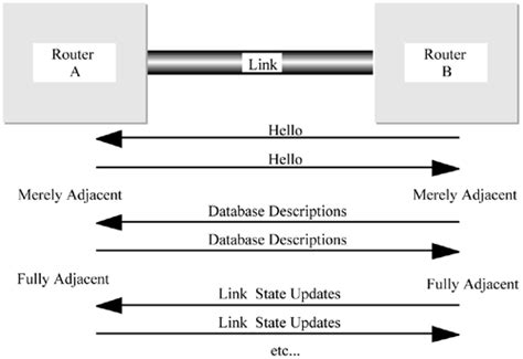 Image result for IP Routing Protocols