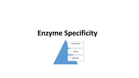 Image result for Exercise 1 Enzyme Specificity