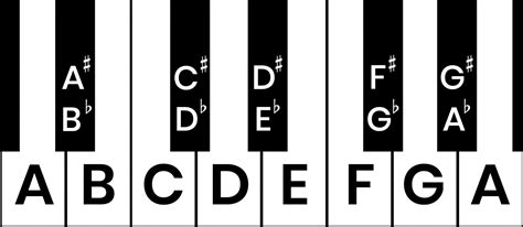 Image result for Notes On a 5 String Bass