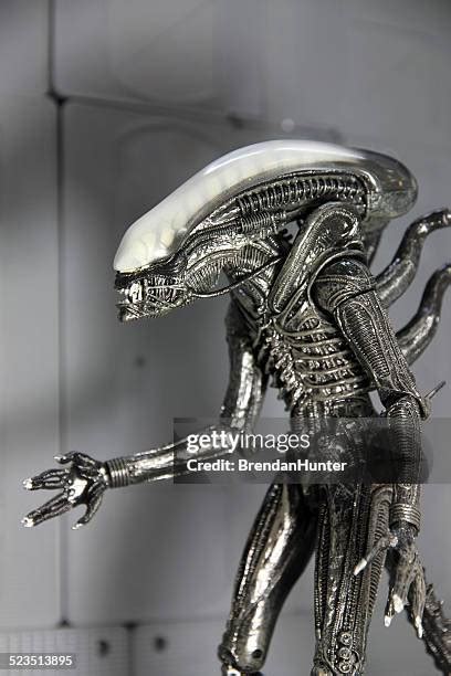 Image result for Alien vs Skeleton