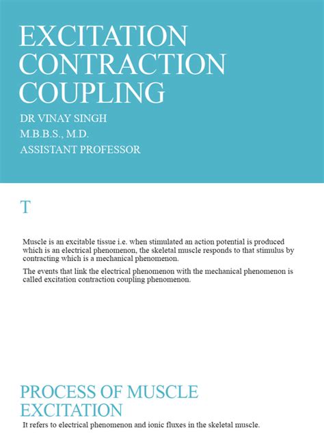 Image result for Flowchart of Excitation Contraction Coupling