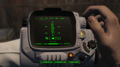 Image result for How to Download Fallout 4 Mods Manually