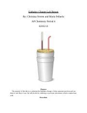 Image result for Enthalpy Change Lab