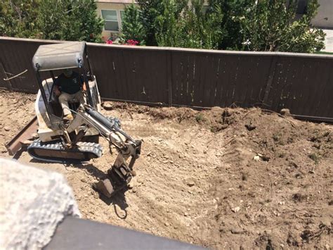 Image result for Pool Digger