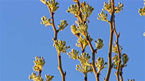 Image result for Spring Is Springing