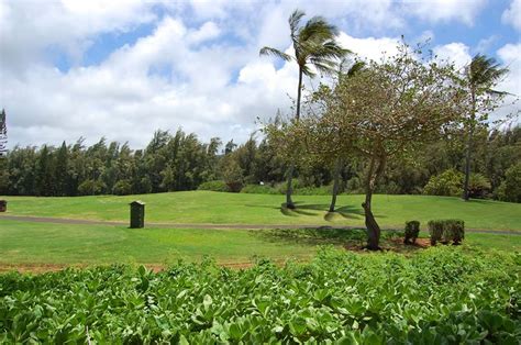 Image result for Turtle Bay Golf Course