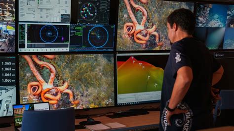 Image result for Alien Animals Found