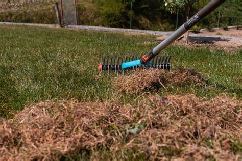 How To Use A Craftsman Thatching Rake [Step By Step Guide]