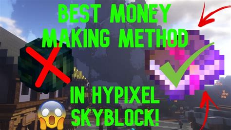 Image result for Fastest Money Making Method Hypixel Skyblock