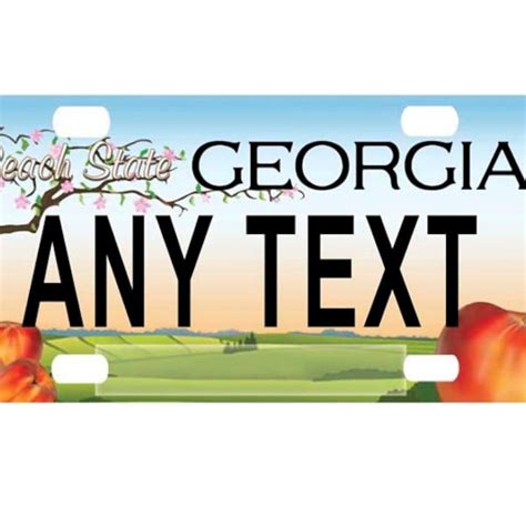 Image result for Georgia State License Plate