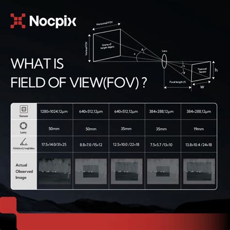 Image result for Field of View Magnification