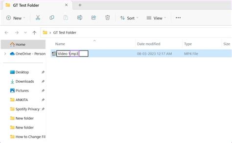Image result for How Cane Change a File Type