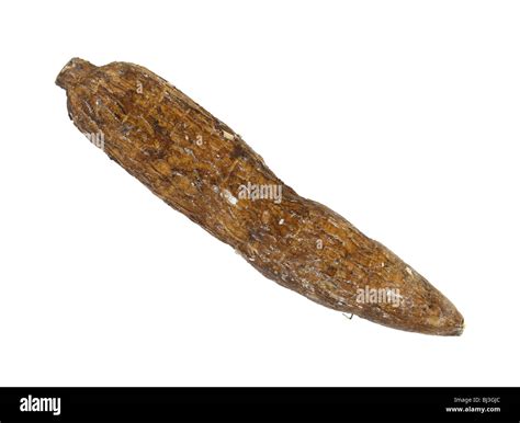 Image result for Different Types of Taro Root