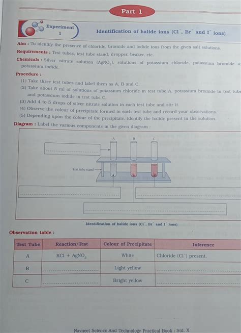 Image result for Halide Ions Practical