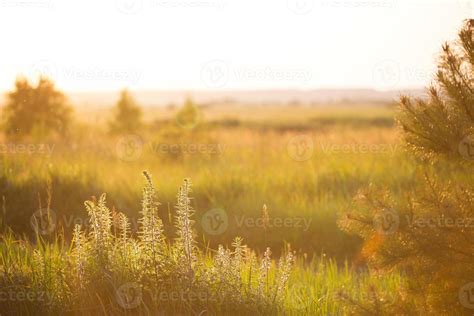 Image result for Sun Core