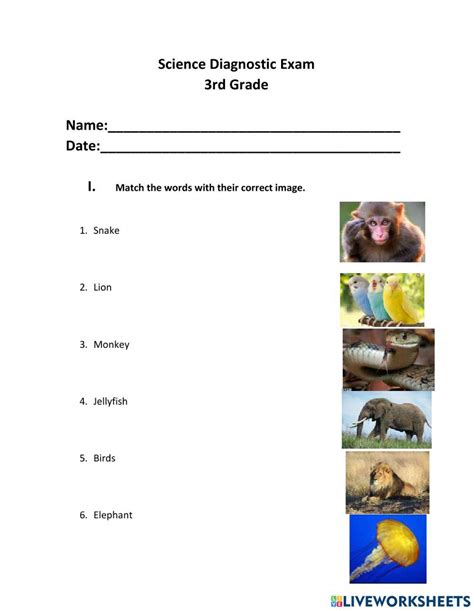 Image result for 3rd Grade Science Practice Test