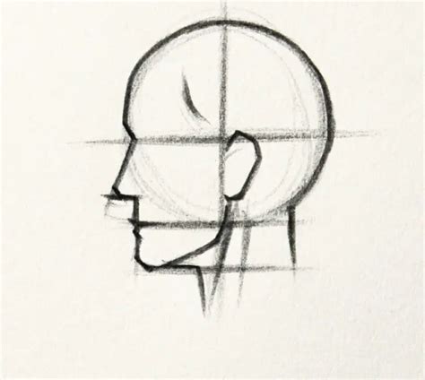 Image result for Head View Drawing Tutorial