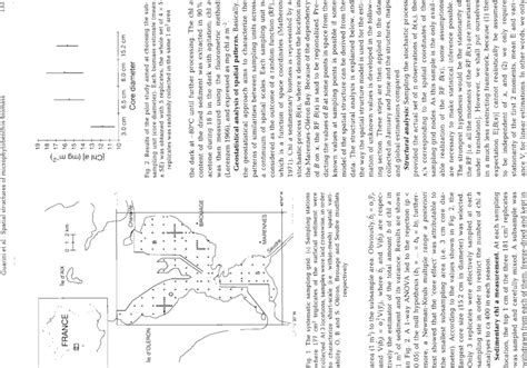Image result for Systematic Random Grid Sampling