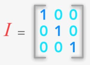 Image result for Identity Matrix Example