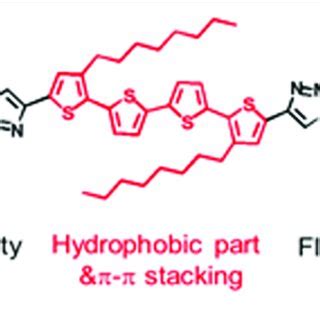 Image result for PTP Comp