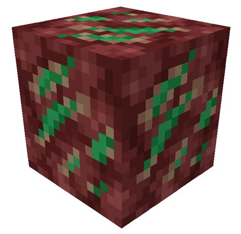 Image result for Nether Update Blocks