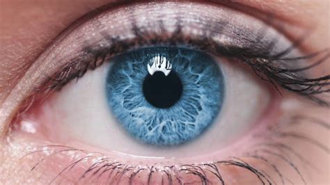 Image result for Eye Pattern Warm Spring