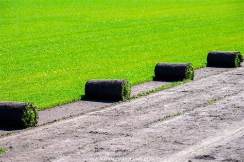 Image result for Golf Course Grass Types