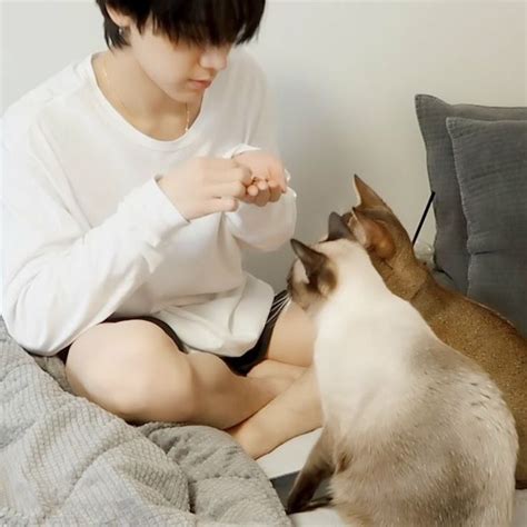 Image result for Wayv Cooking