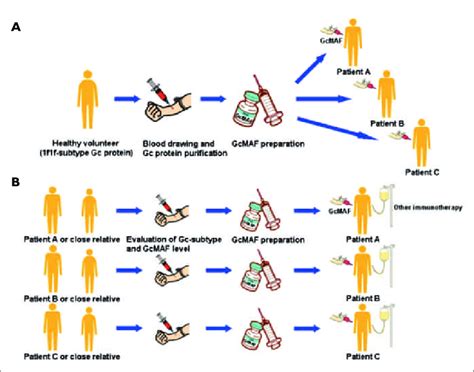 Image result for Making GcMAF