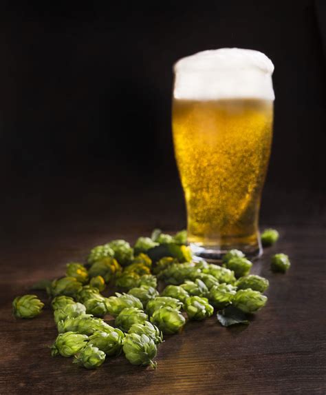 Image result for Different Types of IPA