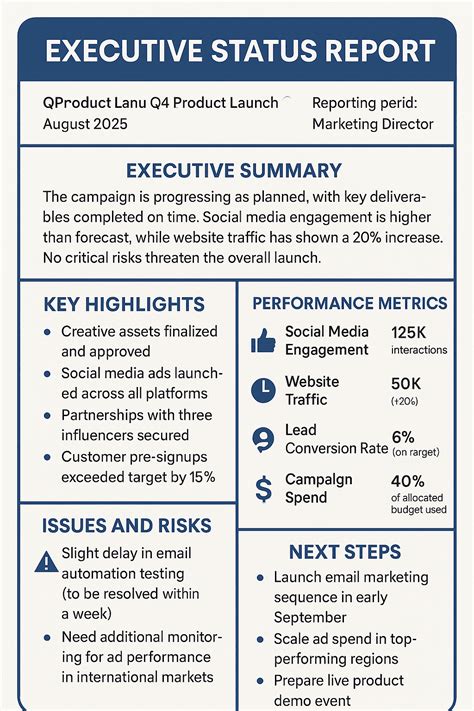 Image result for Status Report Examples