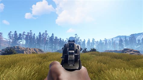 Image result for Gun On Back Rust