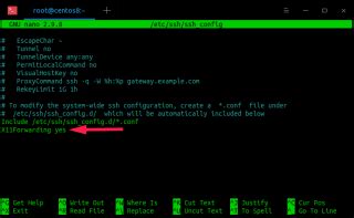 Image result for How to Enable X11 Forwarding Linux