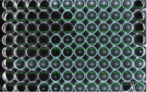 Image result for Stewardship Program in Lab