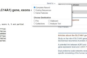 Image result for Fasta Format Example Labelled