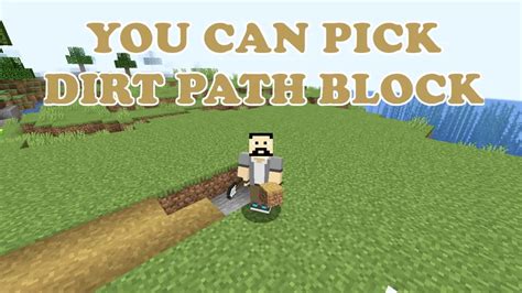 Image result for Minecraft Path Block Texture