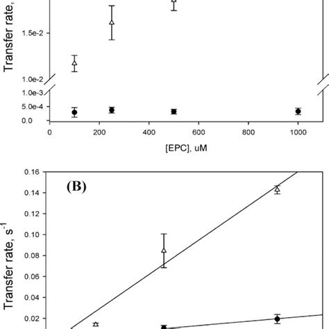Image result for Dhe Algorithm Ephemeral