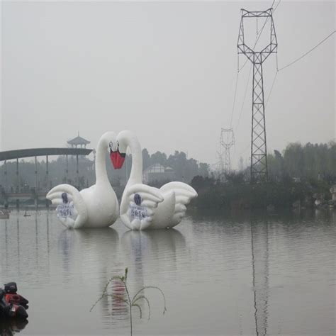 Image result for Inflatable Snow Goose Pool