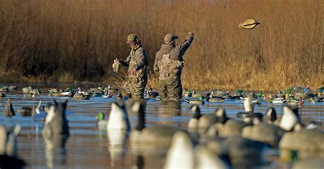 Image result for Goose Hunting Setups
