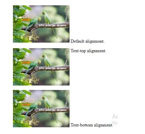 Image result for Align Vertical vs Horizontal CSS