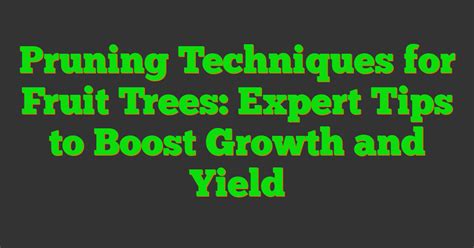 Image result for Pruning Fruit Trees Spring