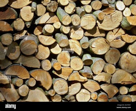 Image result for Split Log Texture