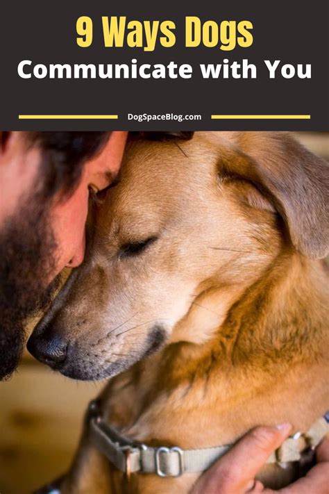 Image result for How Dogs Communicate with People