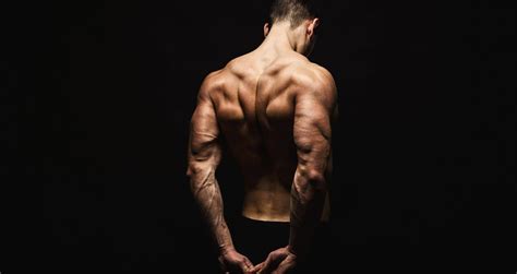 Image result for Build Neck Muscle Transformation
