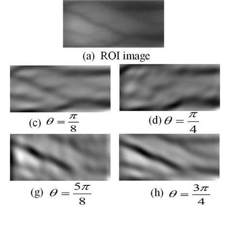 Image result for Gabor Filter Applications