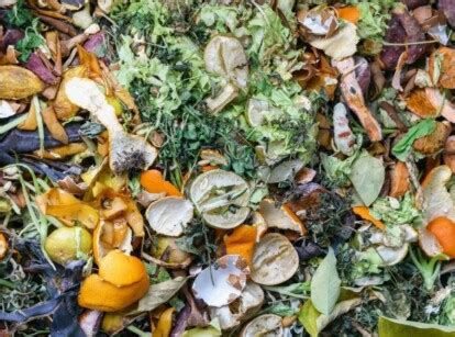 Image result for Compost Method