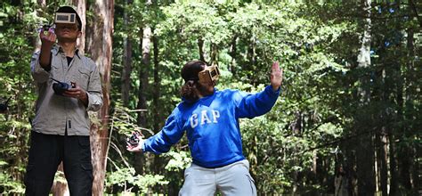 Image result for Fly Vision First Person