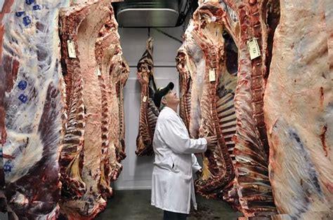Image result for Processing Audad Meat