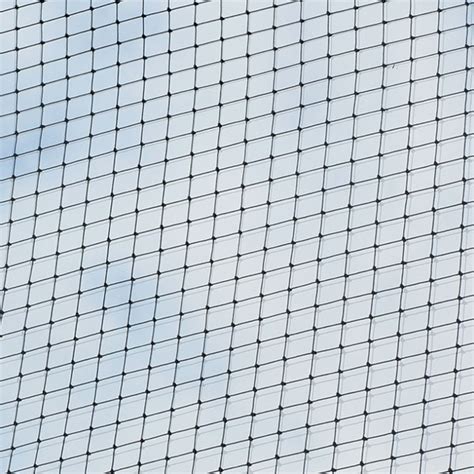 Image result for Portable Net for Discus