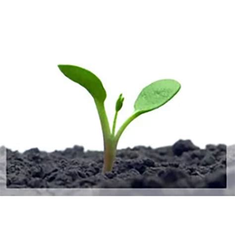 Image result for Humic Compounds